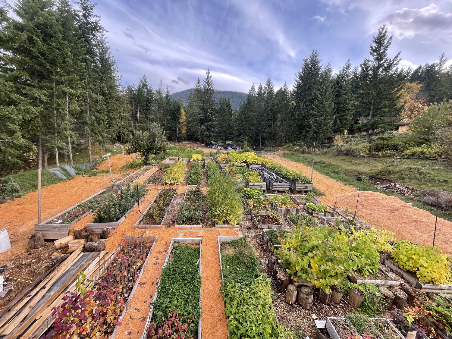 Products – Zero Fox Tree Crops