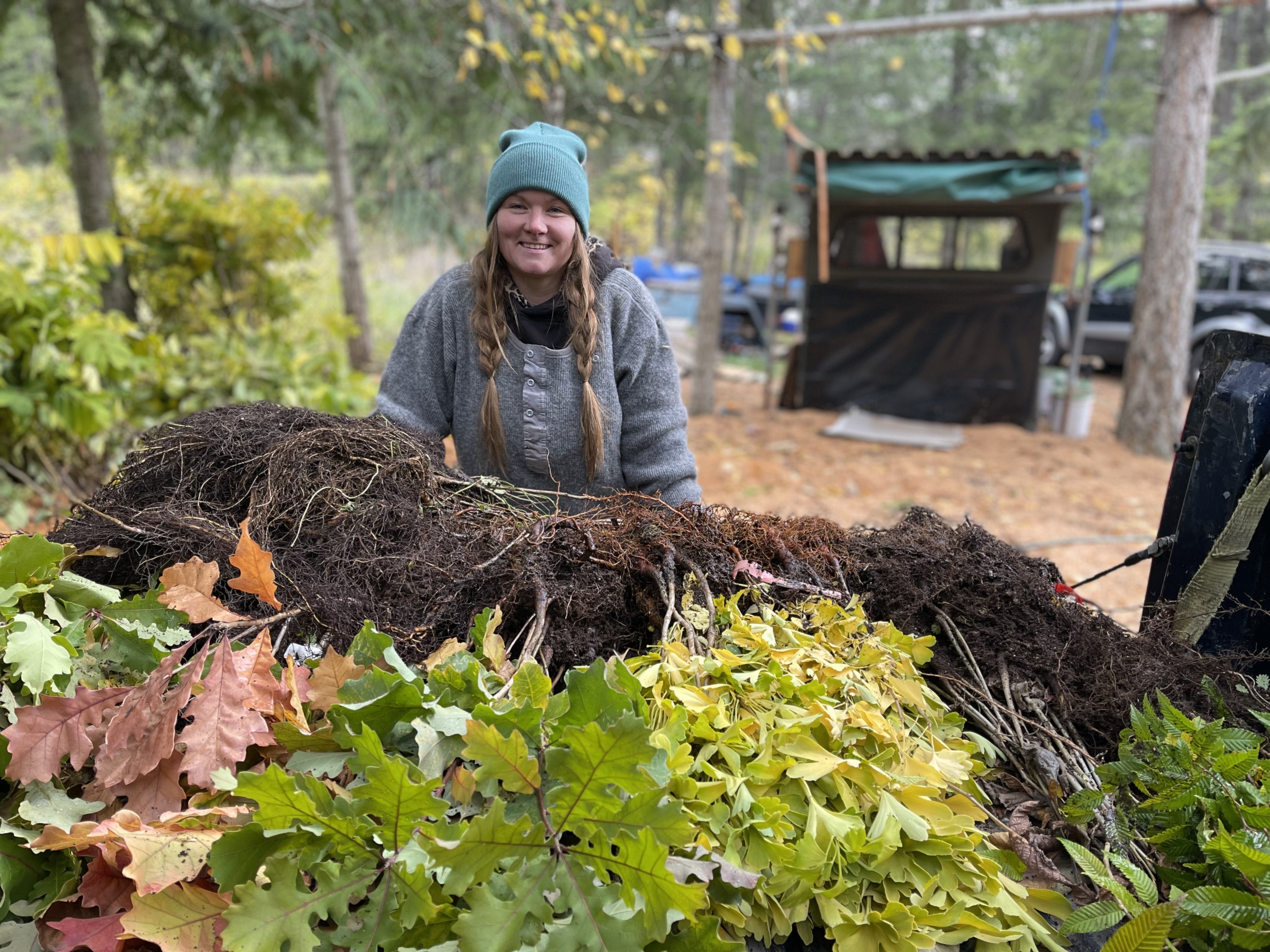 Learn | Zero Fox Tree Crops