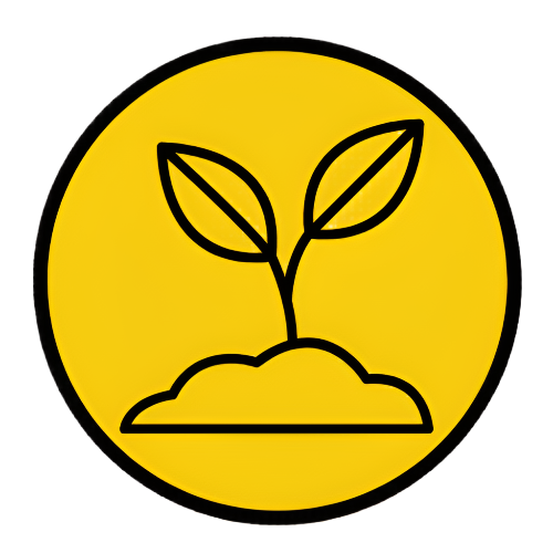 Buartnut (Juglans ailantifolia x Juglans cinerea) | Zero Fox Tree Crops